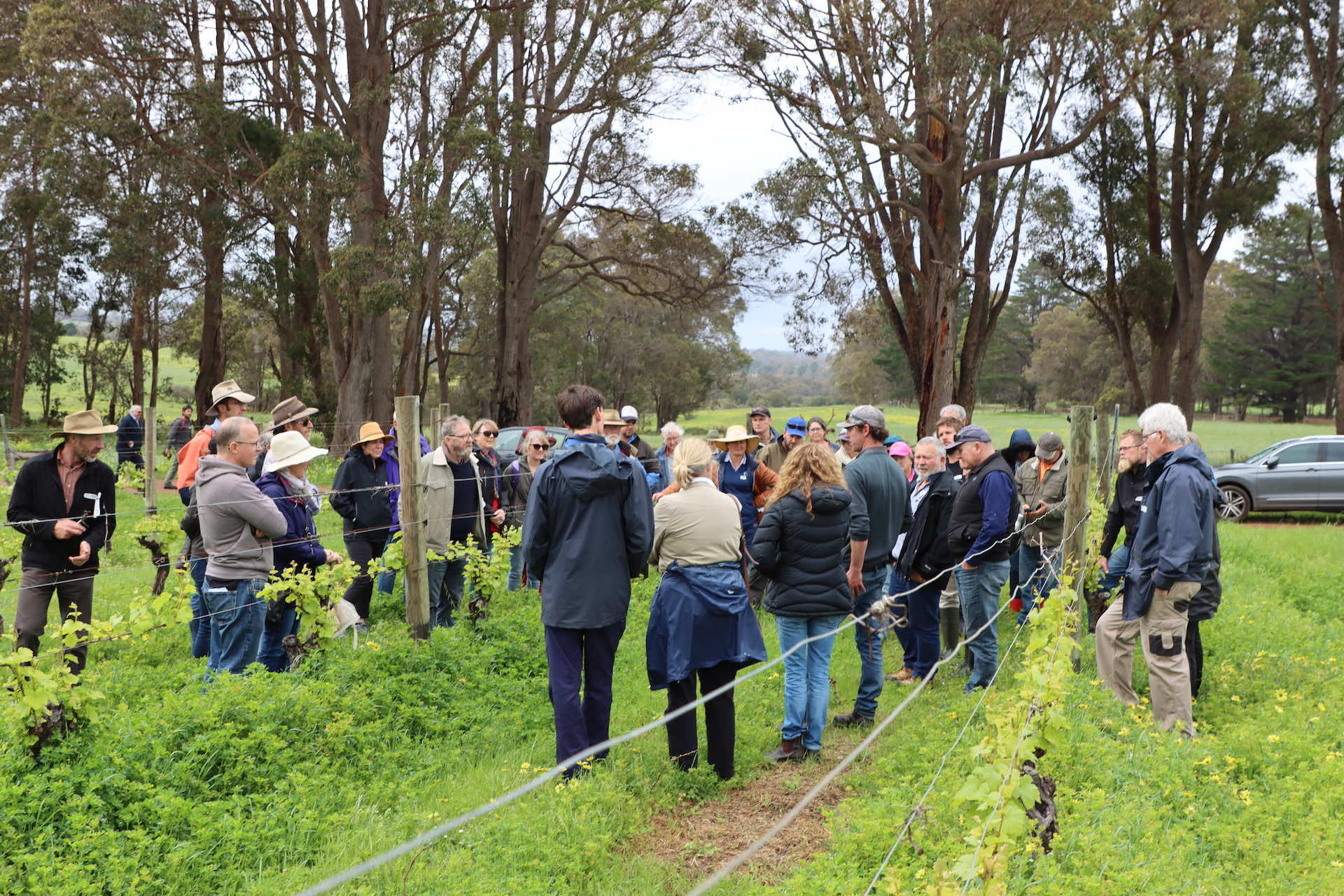 About - Lower South West Growers Group